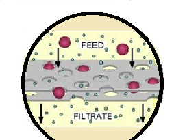 securiplex 1 – Cetana Sdn Bhd (1017534A)